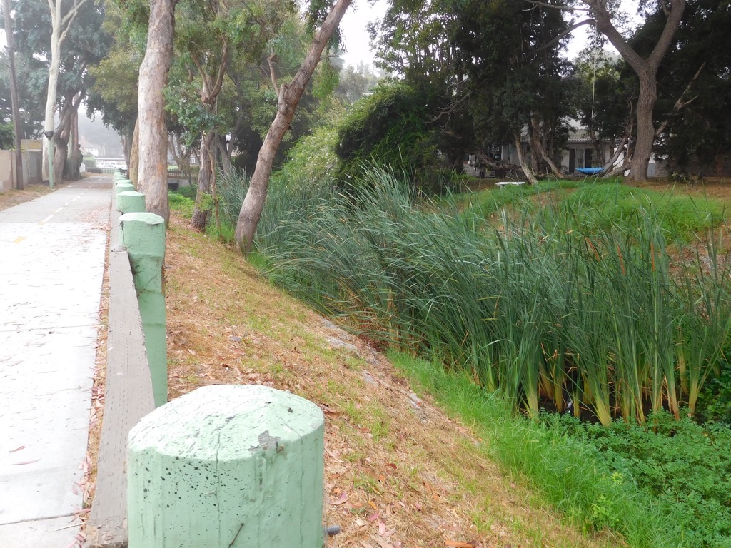 Moranda Park Path to Ormond Beach – Simi Trail Blazers