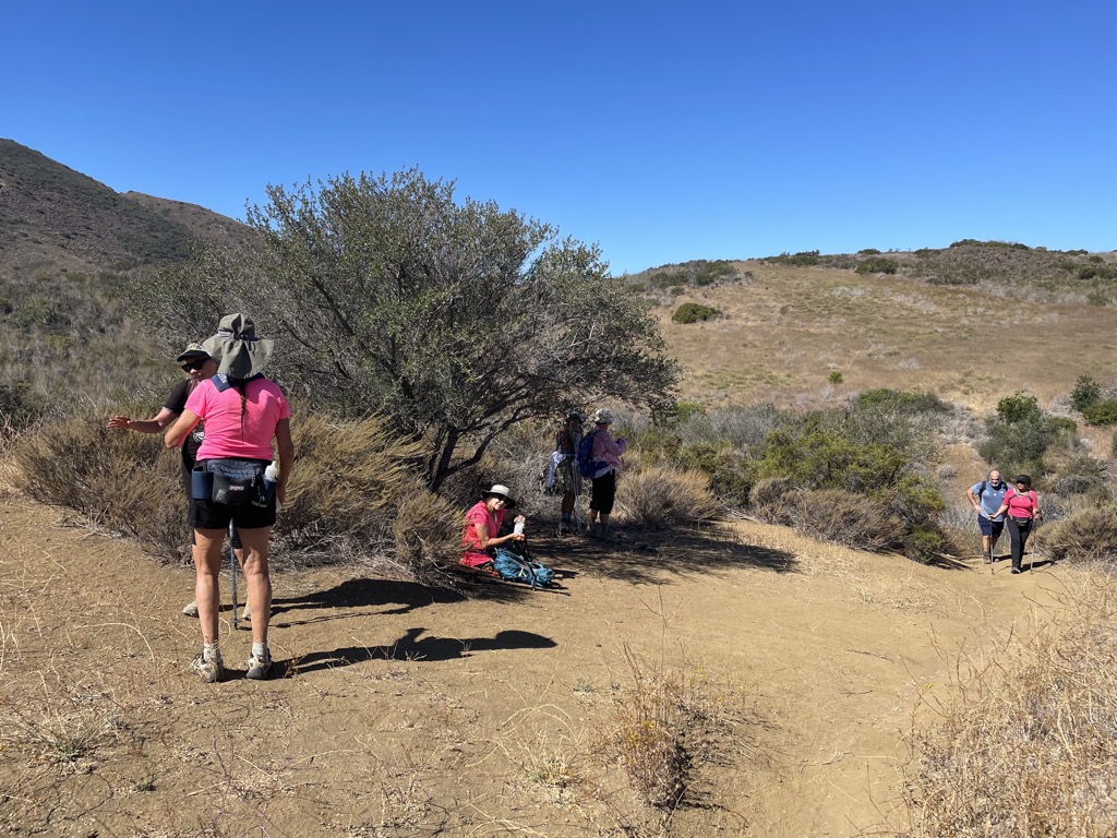 Serrano Canyon + Serrano Valley Loop (from Sycamore Cove) – Simi Trail ...